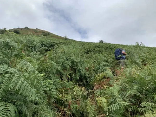 Hay Bluff Walking Guide: 4 Routes To The Summit – Wandering Welsh Girl