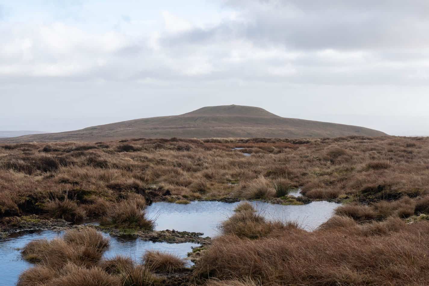 Highest Mountains In Brecon Beacons (Bannau Brycheiniog) – Wandering ...